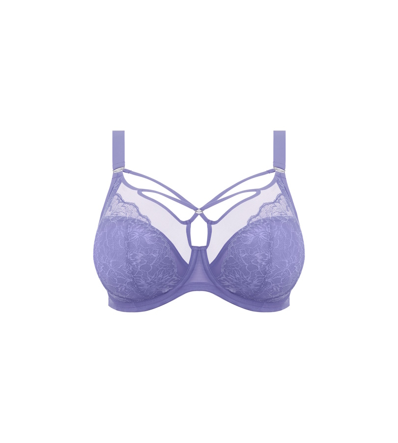Elomi Brianna Plunge Bra - Everyday Bras | Style Bras | Hot Gossip - NZ ...